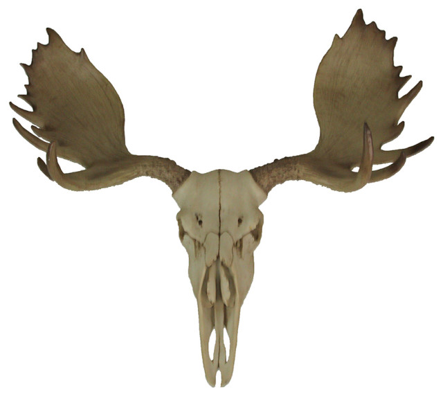 Large Lifelike Bull Moose Skull Hanging Wildlife Decor Statue - Rustic ...