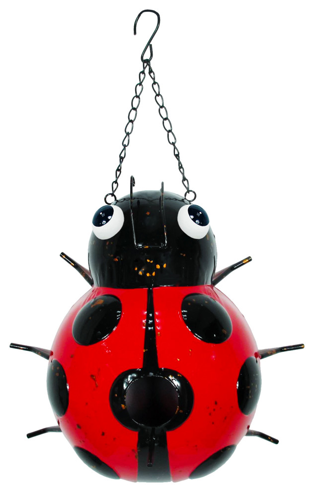 Hanging Ladybug - Contemporary - Outdoor Wall Art - by Continental Art ...