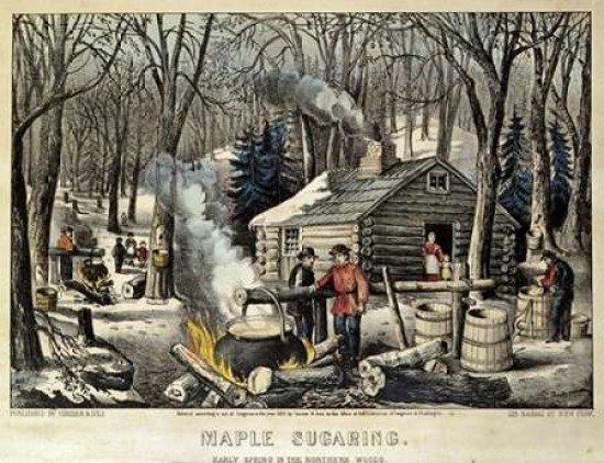 Maple Sugaring, Early Spring in The Northern Woods Print, 11 x 14 ...