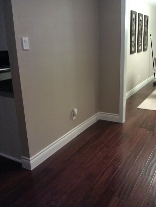 I need help with color & coordinating SW Pavilion Beige