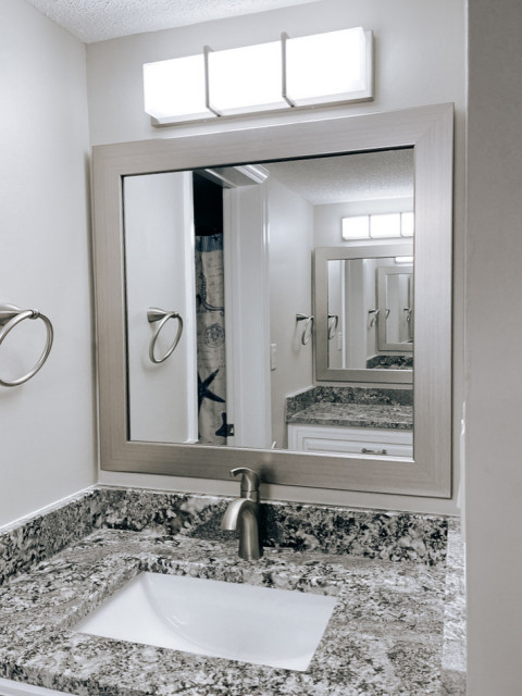 Pendleton Framed Wall Mirror, 28" X 60" - Transitional - Bathroom ...