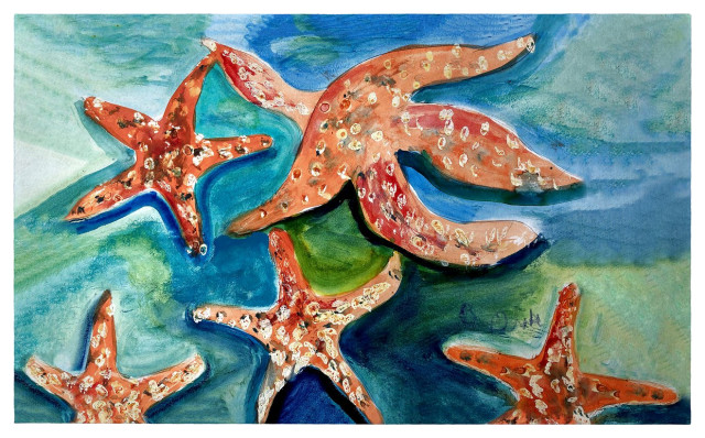 Betsy Drake Swimming Starfish Large Door Mat, 50 inches - Beach Style ...