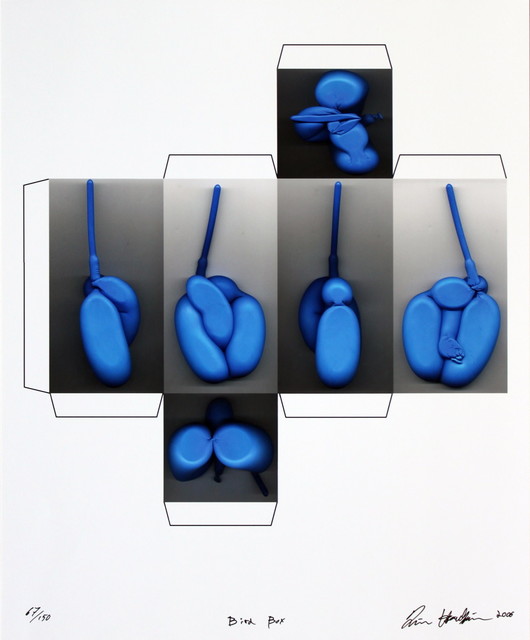 Tim Hawkinson "Bird Box" 2006, Signed Giclee Art - Contemporary ...