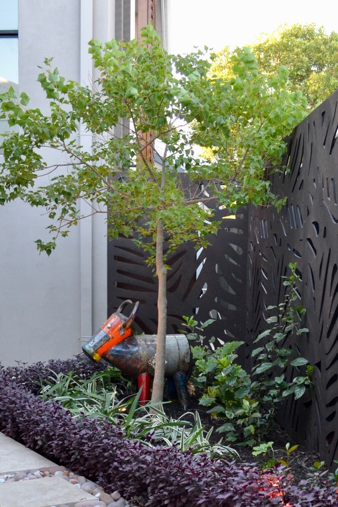 Mount Pleasant Garden - Contemporary - Garden - Perth - by Naturesque ...