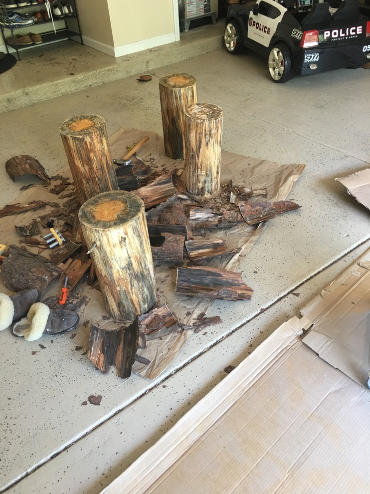 Black mold on tree stump