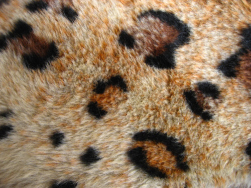 Faux Leopard Skin Pelt Rug, 56"x79" - Novelty Rugs - by ecofo | Houzz