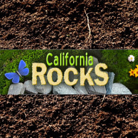 CALIFORNIA ROCKS - Project Photos & Reviews - RIVERSIDE, CA US | Houzz