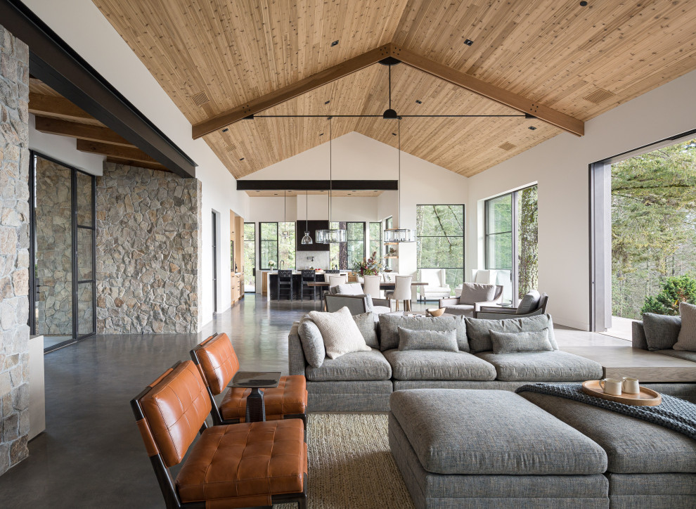 Howell Mountain - Modern - Living Room - Other - by Holder Parlette ...