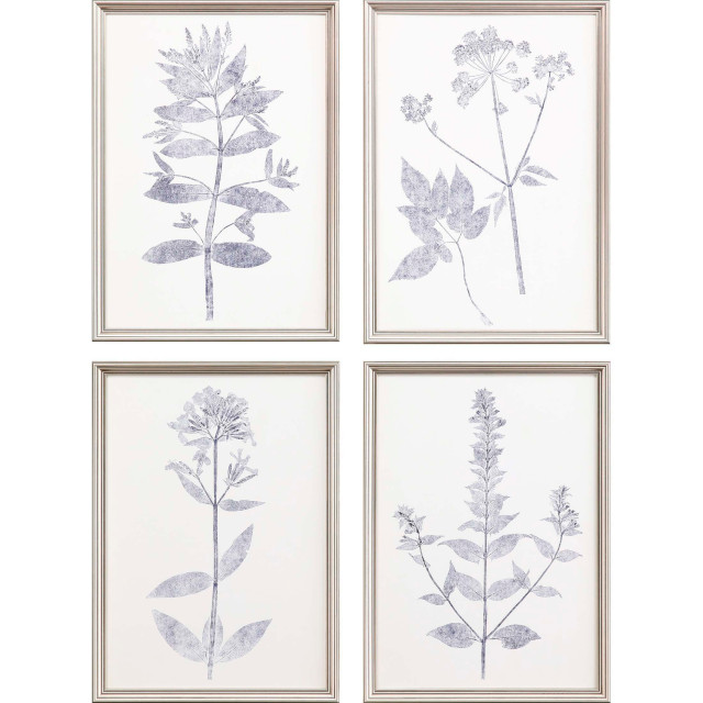 Navy Botanicals Art, 4-Piece Set - Traditional - Prints And Posters ...