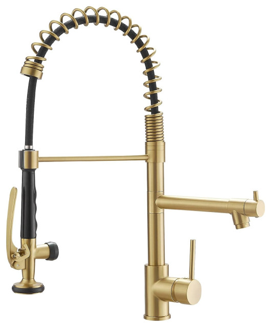 Kitchen Faucet, Swiveling Design & Pull Down Sprayer - Modern - Kitchen ...
