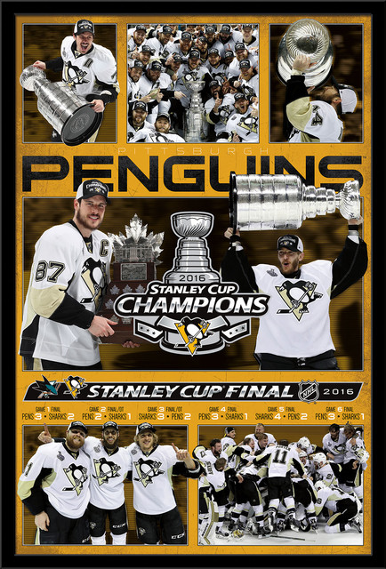 2016 Stanley Cup Celebration (24x36) Poster, 24.25"x35.75 ...