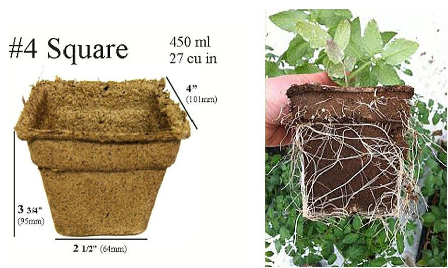 CowPots™ CP-4-SQ-12PK-12PKS Biodegradable Plant Pots, Square, 4", 12 ...