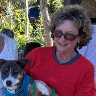 GAIL DAY ART - Project Photos & Reviews - Coffs Harbour, NSW, AU | Houzz