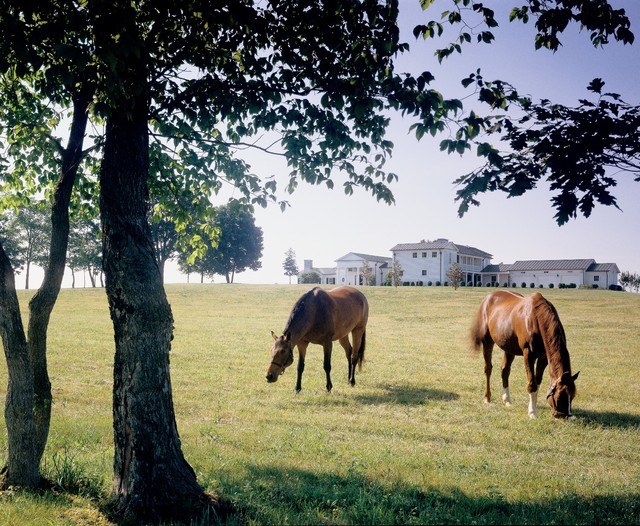 Houzz Tour: Spacious Farmhouse in Virginia