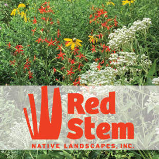 RED STEM NATIVE LANDSCAPES - Project Photos & Reviews - Chicago, IL US ...