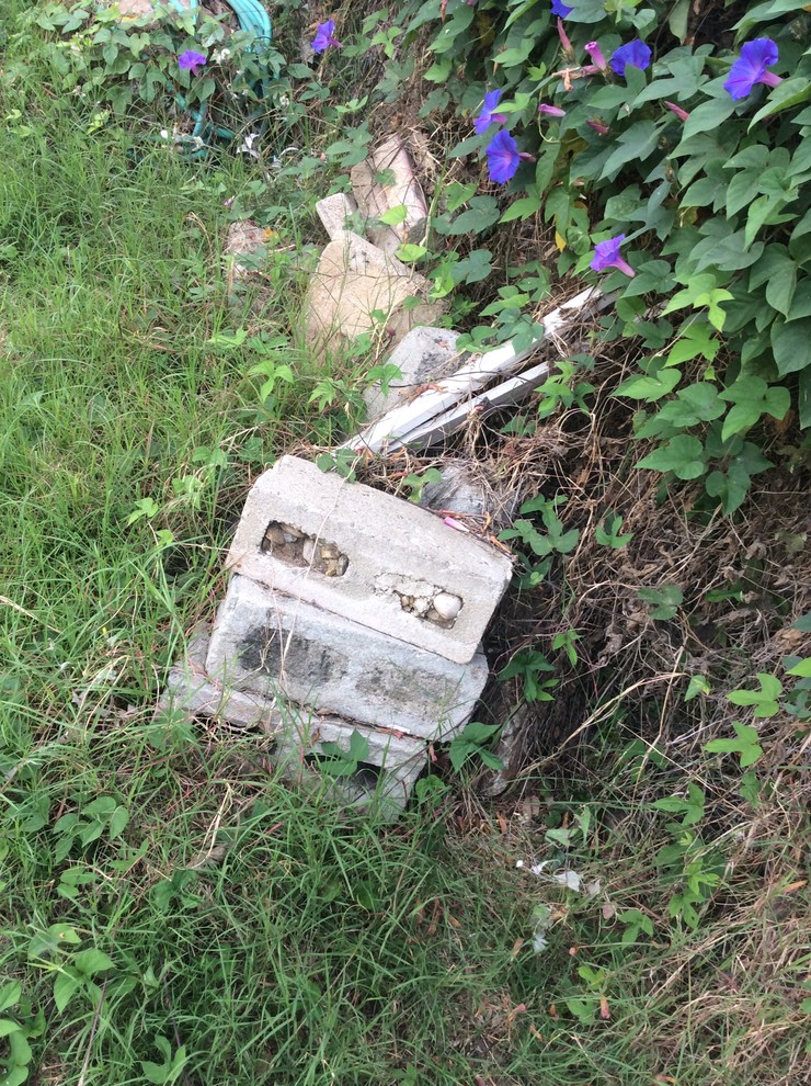 Inherited bad backyard , need ideas and how to's
