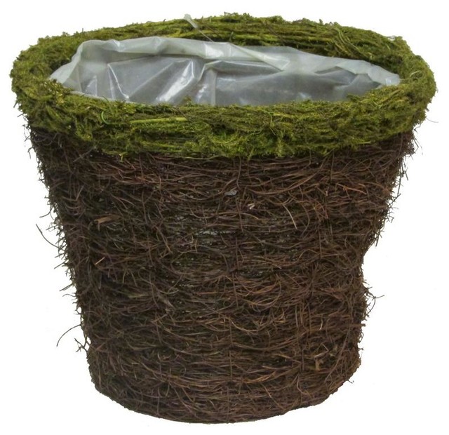 Natural Grapevine Moss Rim 8" Pot W/ Soft Liner - Rustic - Outdoor Pots ...