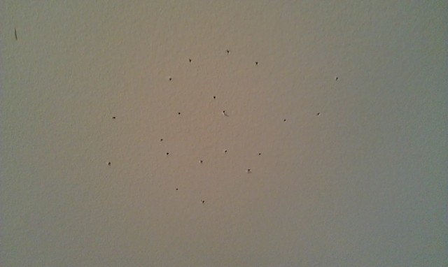 Tiny Holes in Ceiling