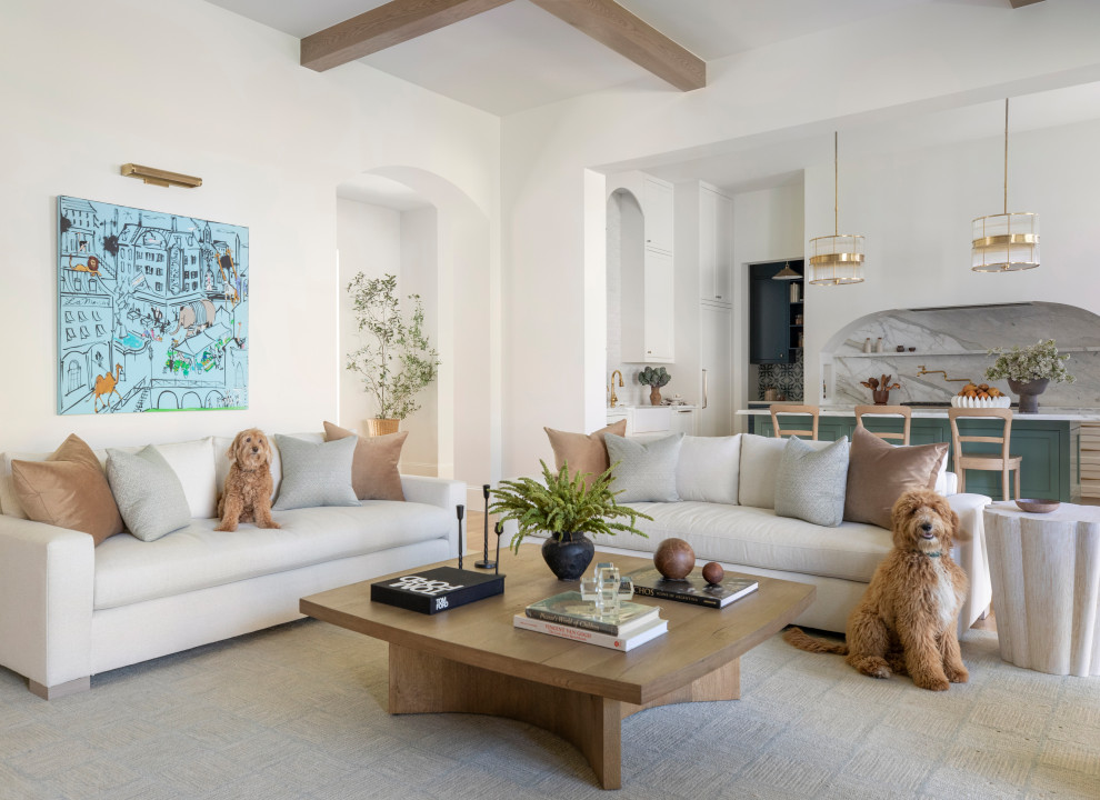 Colorful New Build - Transitional - Living Room - Houston - by Lynn ...