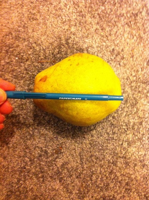 What is the largest pear you know of?