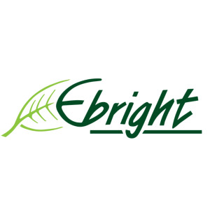 EBRIGHT INC - Project Photos & Reviews - South Lake Tahoe, CA US | Houzz