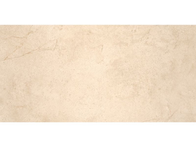 Aria Cremita 24x48 Porcelain Tile - Traditional - Wall And Floor Tile ...