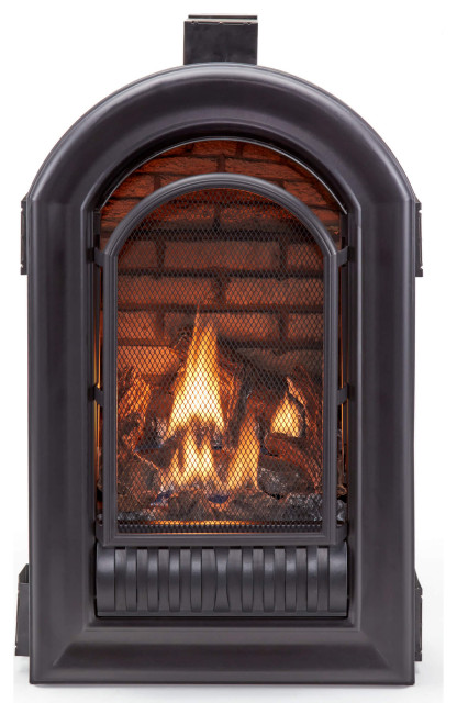 Ventless Liquid Propane Fireplace Insert, 20,000 BTU - Transitional ...