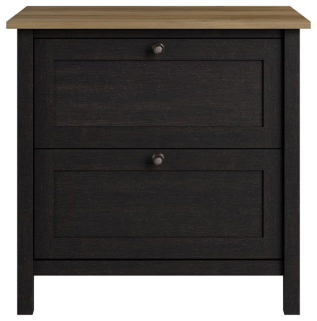 Pemberly Row 2 Drawer Lateral File Cabinet in Vintage Black and ...
