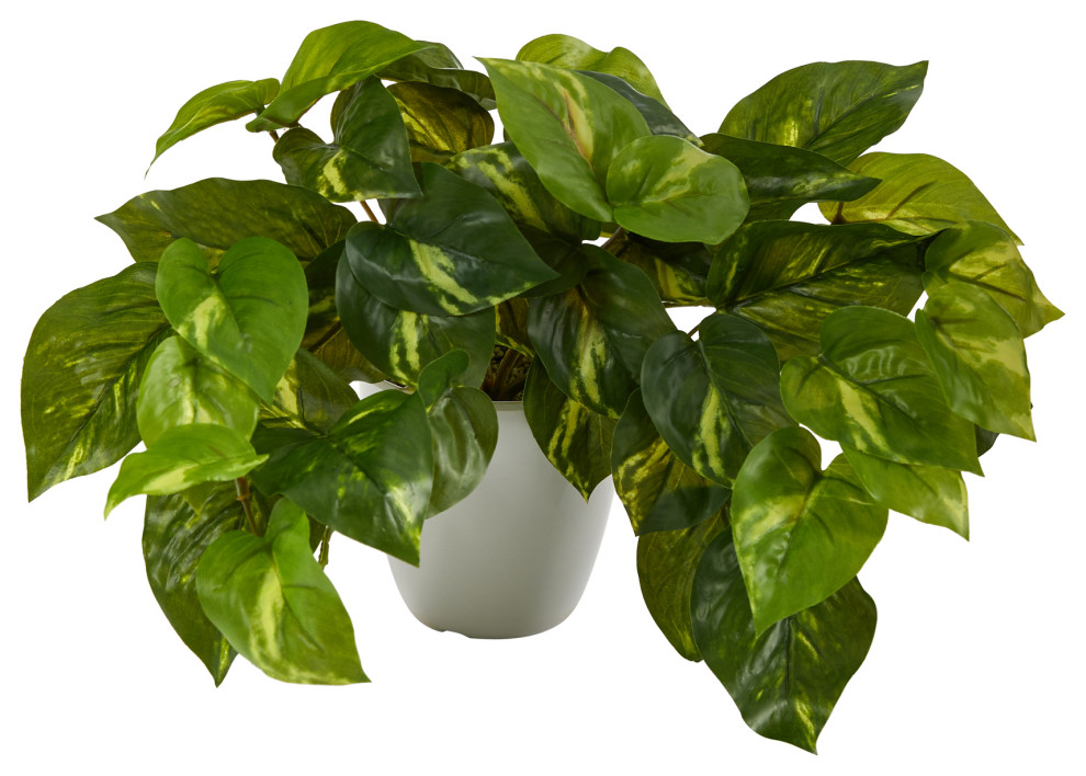 9" Pothos Artificial Plant, White Planter, Real Touch - Modern ...