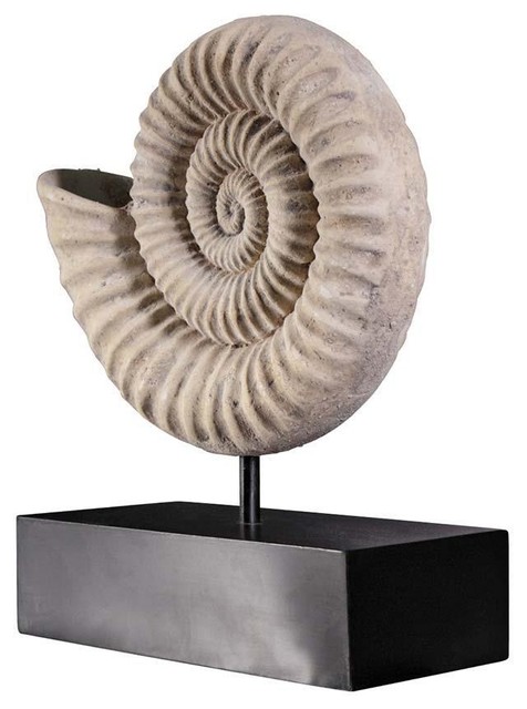 Fossil Shell Sculpture on Stand - Beach Style - Decorative Objects And ...
