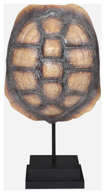 Faux Yellow Footed Tortoise Shell on Stand - Contemporary - Decorative ...
