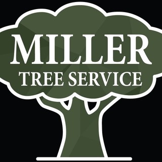 MILLER TREE SERVICE - Project Photos & Reviews - Advance, NC US | Houzz