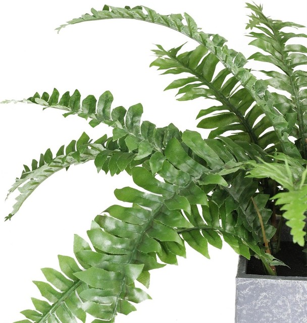 13" Artificial Boston Fern in Decorative Stone Look Paper Mache Pot ...