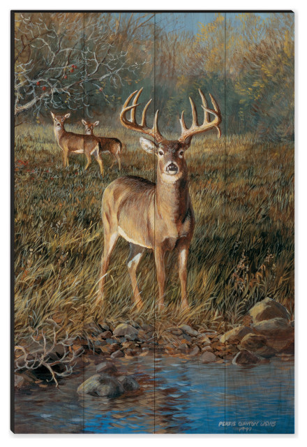Wall Art, First Light Buck, 16"x24" - Rustic - Prints And Posters - by ...