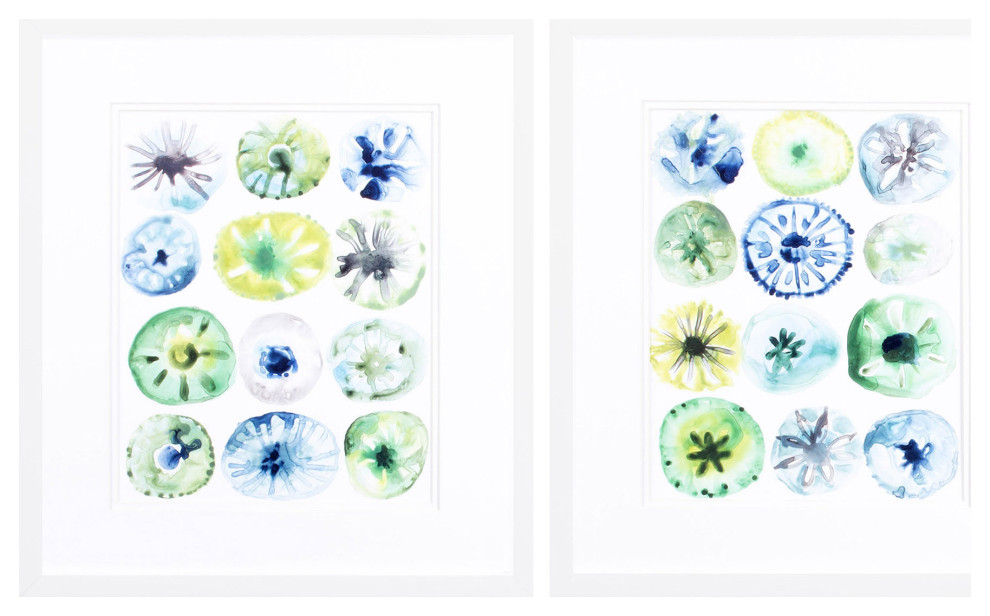 Sea Urchin Assortment Wall Art, Set of 2 - Beach Style - Prints And ...