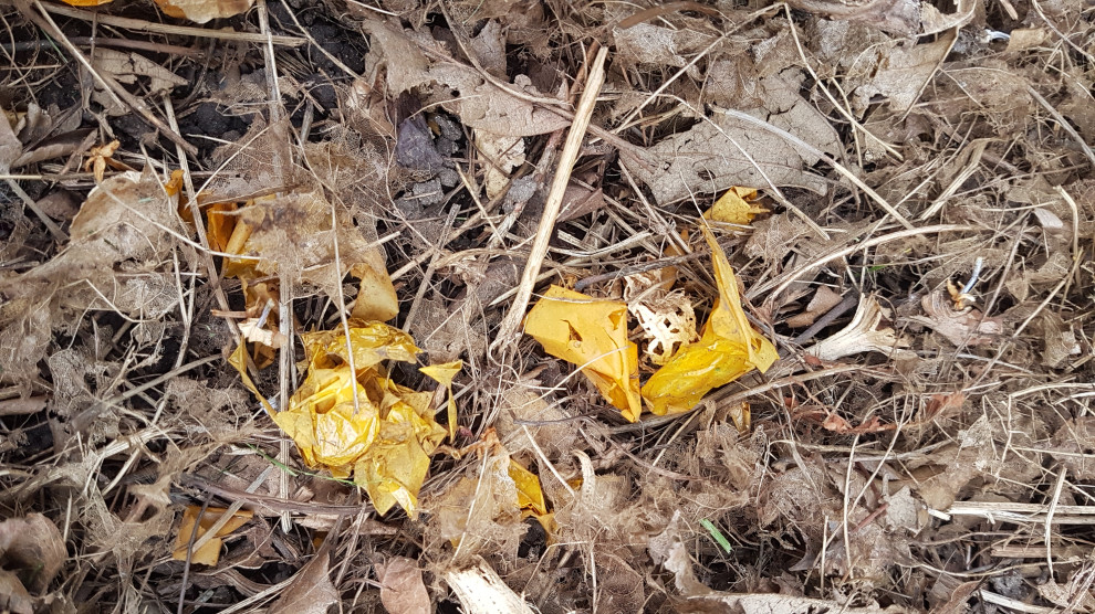 Plastic-looking particles from my compost