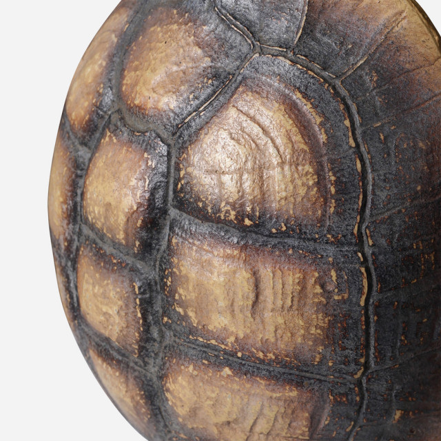 Faux Yellow Footed Tortoise Shell on Stand - Contemporary - Decorative ...