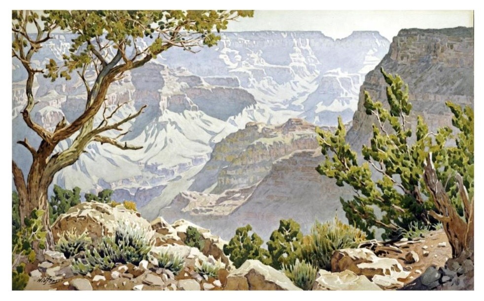 "Grand Canyon" Digital Paper Print by Gunnar Widforss, 24"x15", 32"x20 ...