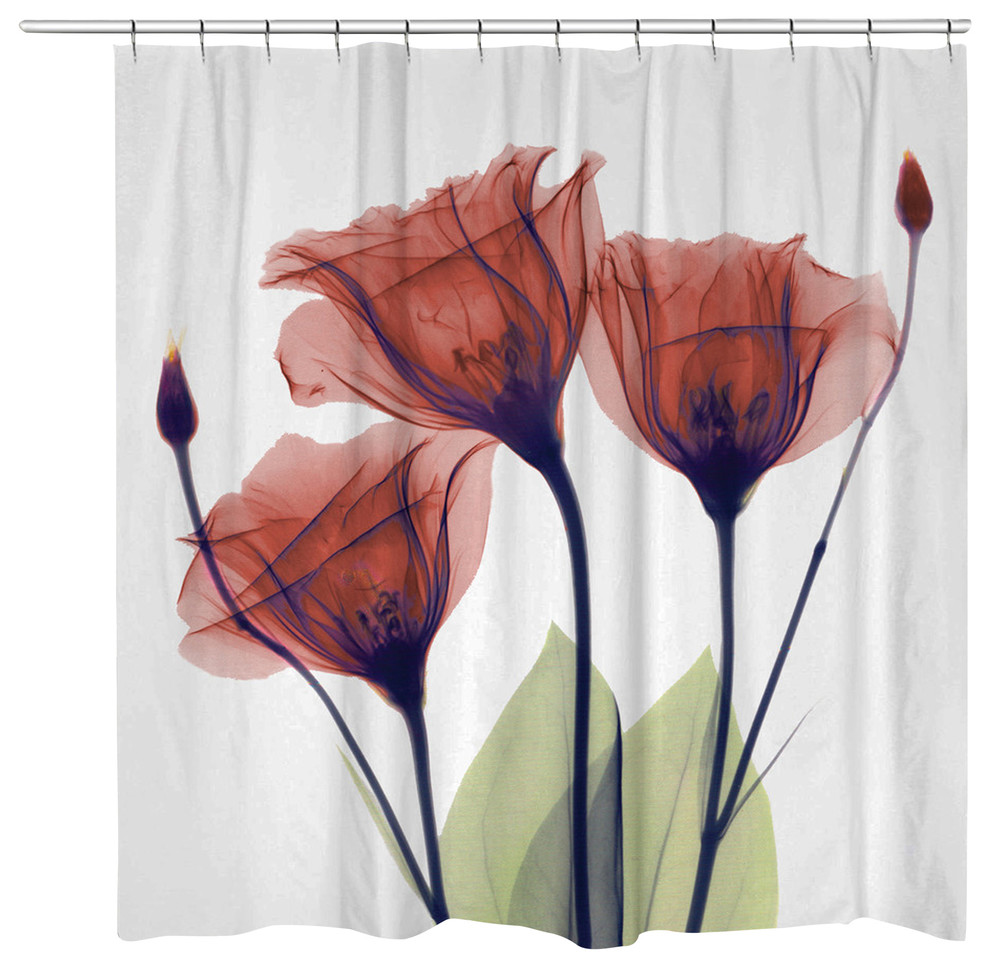 Gentian Red Shower Curtain, 71"x74" - Contemporary - Shower Curtains ...