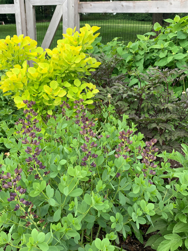 Hamilton Homestead - Country - Garden - Boston - by Kerry Lewis ...