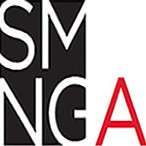 SMNG A LTD - Project Photos & Reviews - chicago, IL US | Houzz