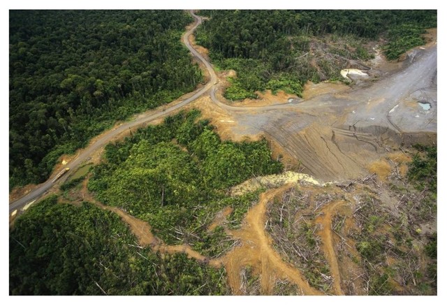 "Logging erosion, rainforest, Aird River, Kikori Basin" Paper Art, 20 ...