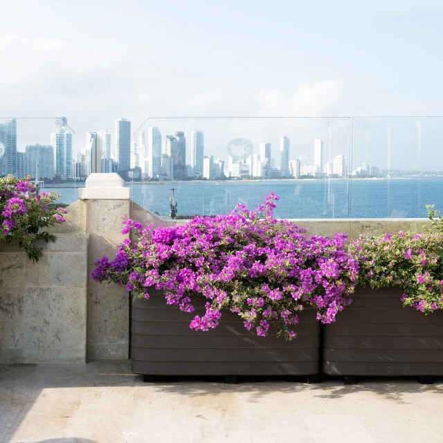 TruDrop Slat Self Watering Planter Boxes, Large 47"x19"x23"h ...