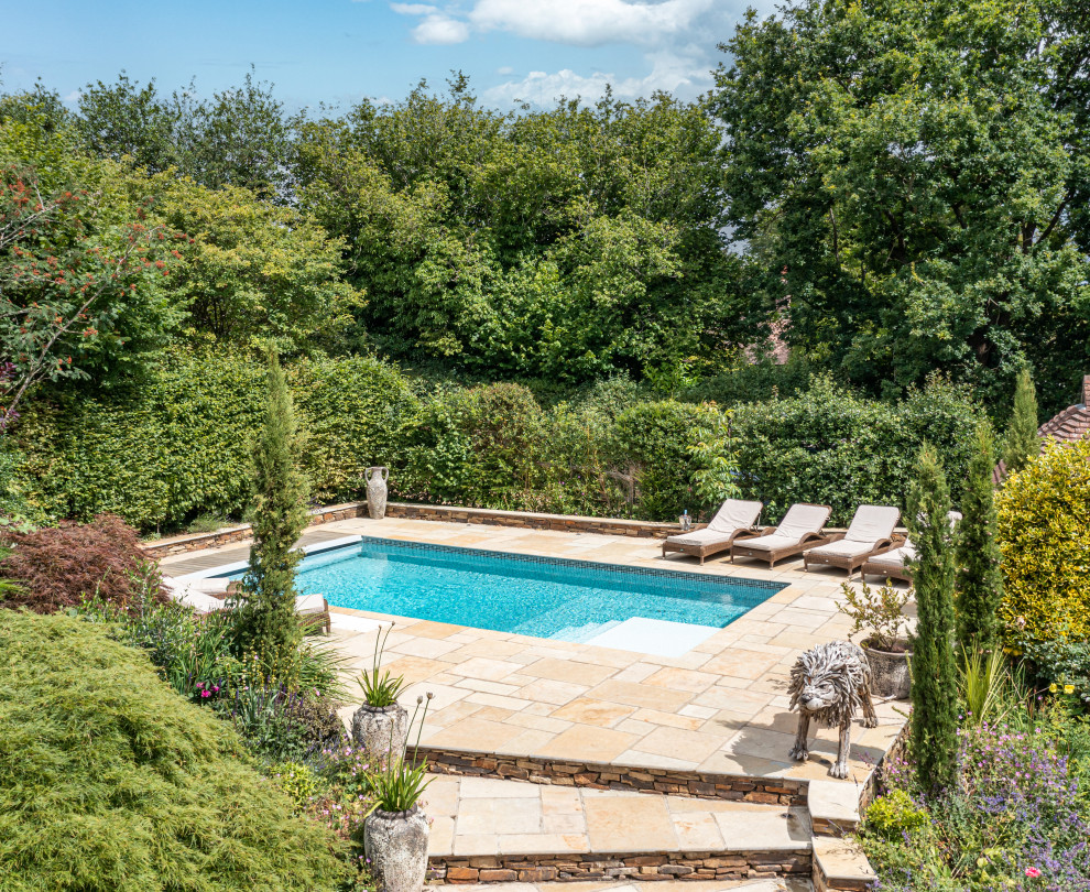Swimming Pool Design & Installation, West Sussex - Transitional - Swimming Pool & Hot Tub ...