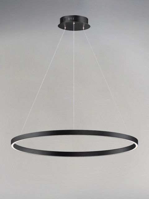 Groove 24" LED Pendant in Black - Modern - Pendant Lighting - by ...