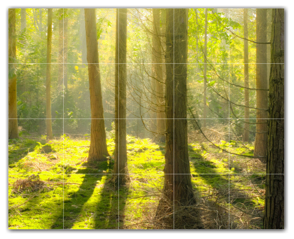 Trees Ceramic Tile Wall Mural HZ501039, 30" Wide x 24" High ...