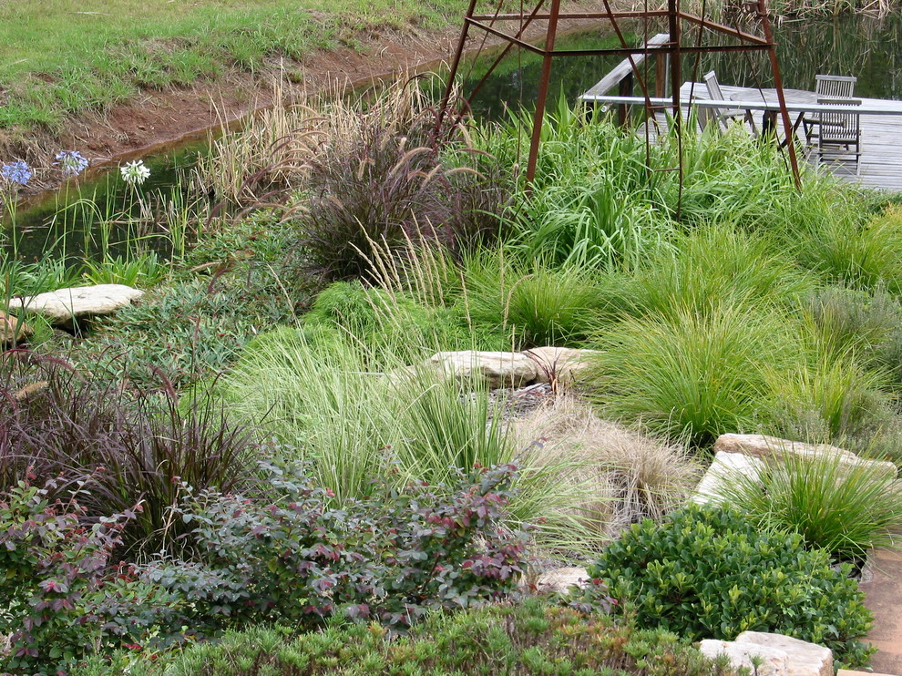 Plant combinations - Eclectic - Garden - Sydney - by Arthur Lathouris ...