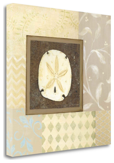 24" Sandollar With Multi-Pattern Background Giclee Wrap Canvas Wall Art ...