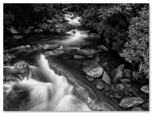 Bob Rouse 'little pigeon river2BW' Canvas Art, 19"x14" - Rustic ...