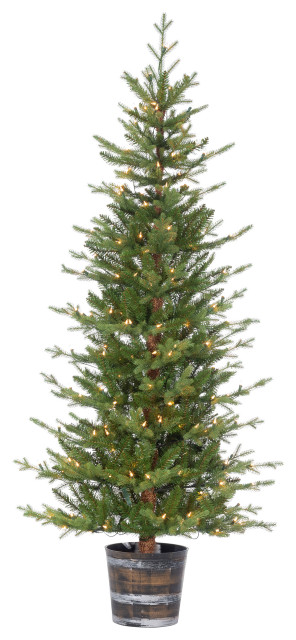 6' High Potted Natural Cut Glendale Pine With 200 Clear LED Lights ...